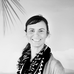 How Ocean Plastics Turn into a Dangerous Meal | Updates