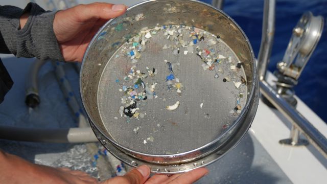 Final Vertical Distribution Expedition Completed | Updates