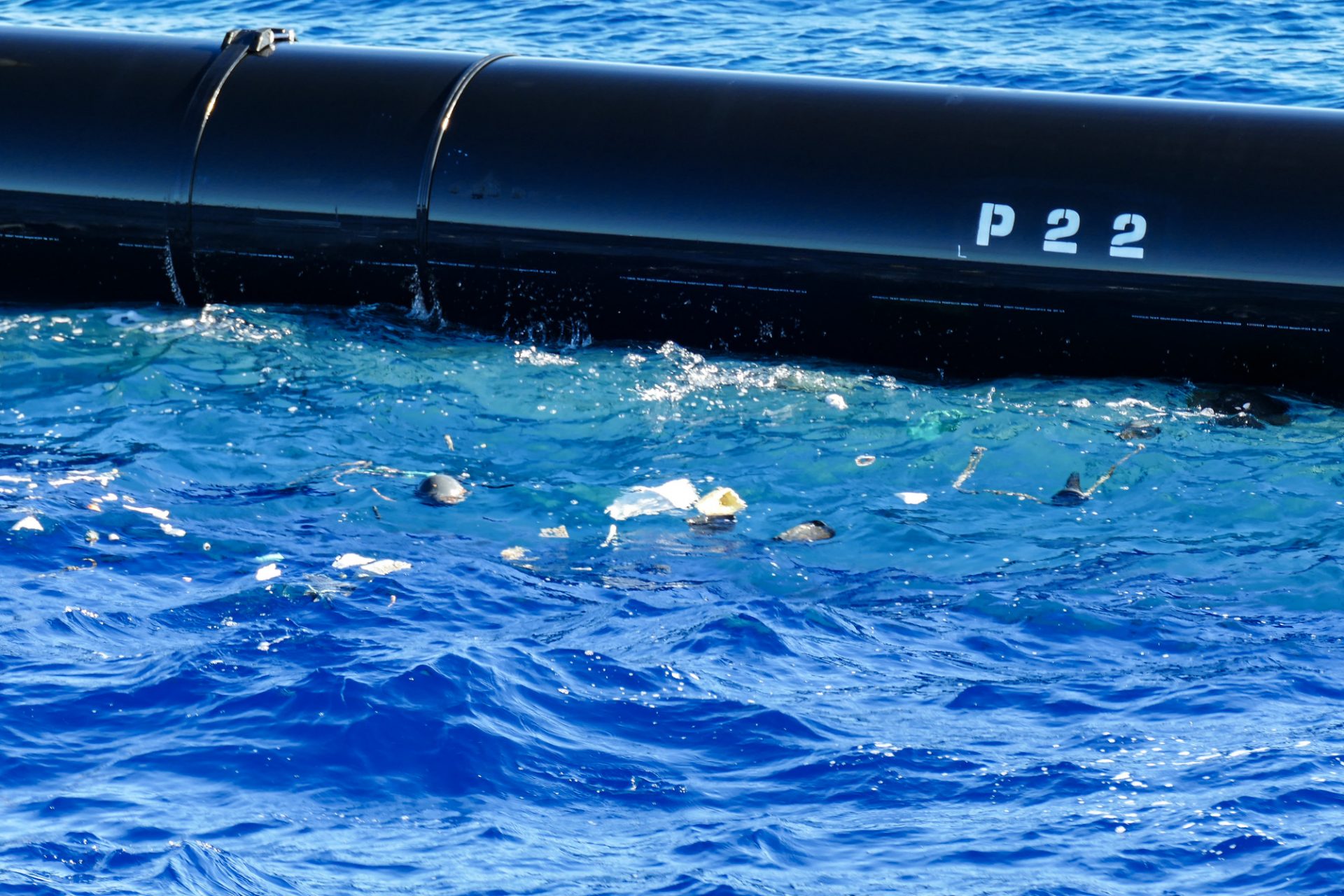 The Ocean Cleanup and Neuston | Updates