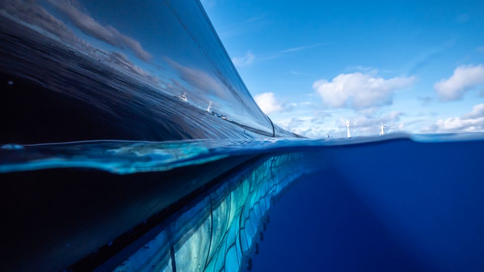 Oceans • Page 2 of 4 • Updates • The Ocean Cleanup