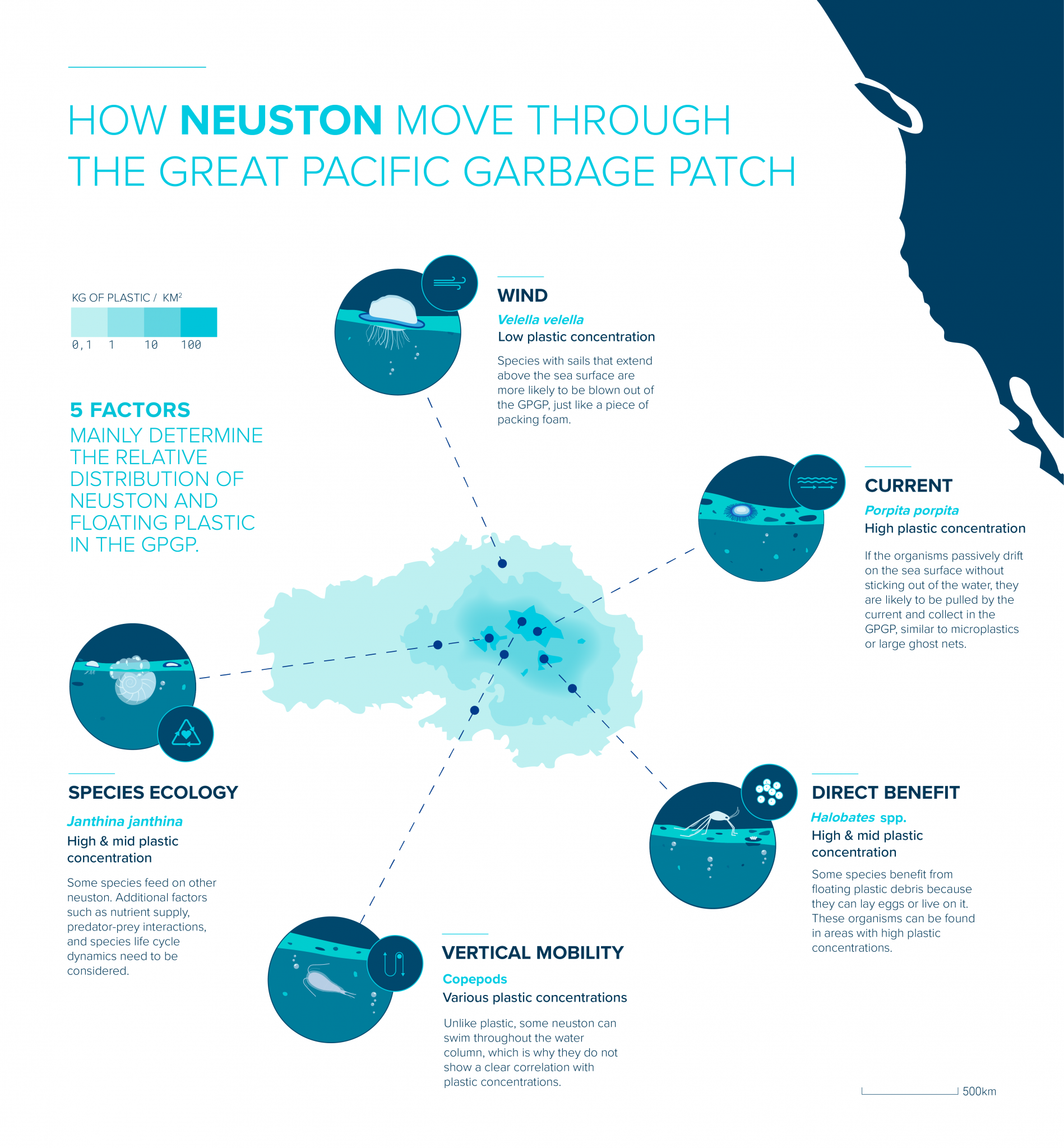 Neuston in the Great Pacific Garbage Patch and the Impact of Cleanup ...