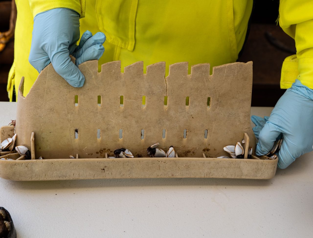 FAQ | The Ocean Cleanup