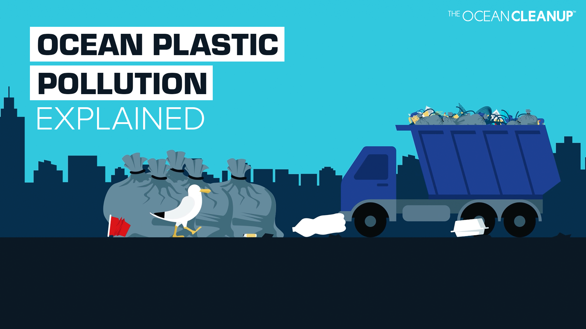 Plastic Pollution • Media Gallery • The Ocean Cleanup