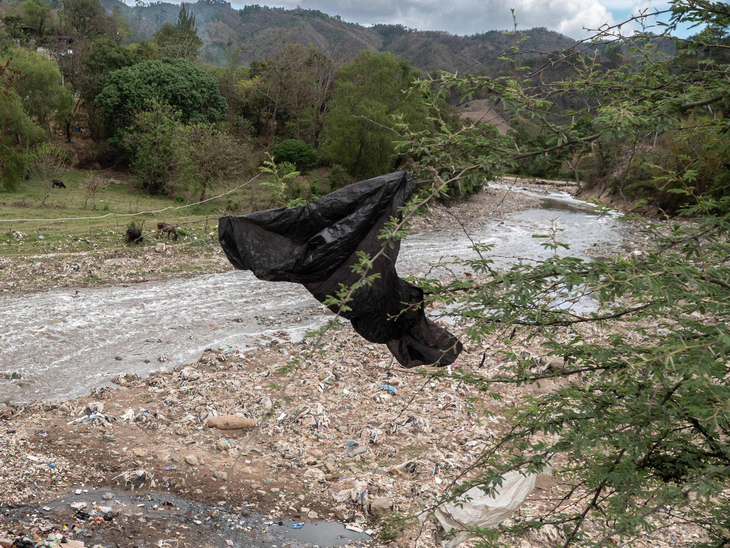 How Does Plastic End up in Rivers? | Updates | The Ocean Cleanup