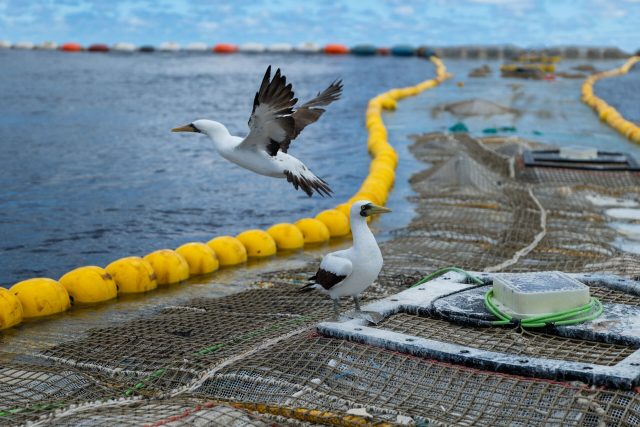Environmental and Social Impact | The Ocean Cleanup