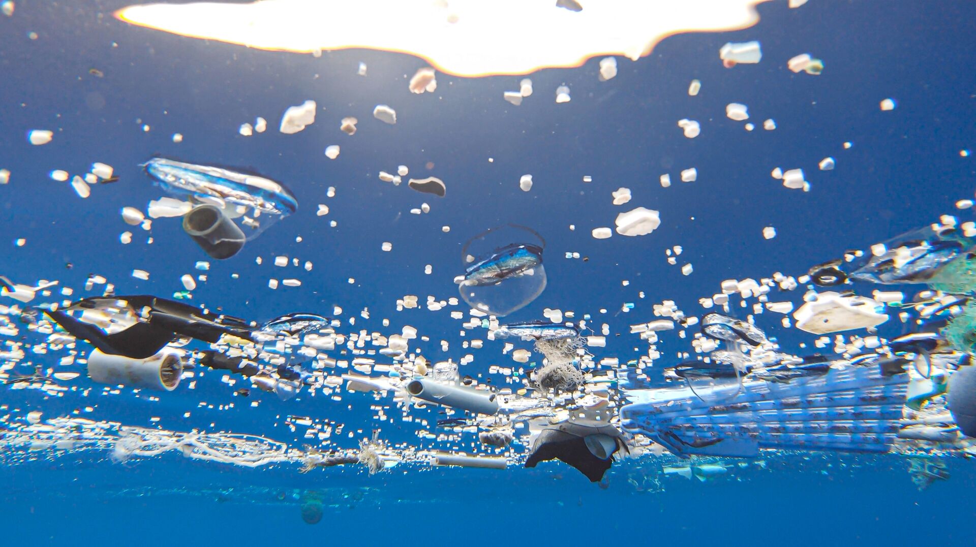 Call for sailors to become Pacific plastic hunters this summer | Press ...