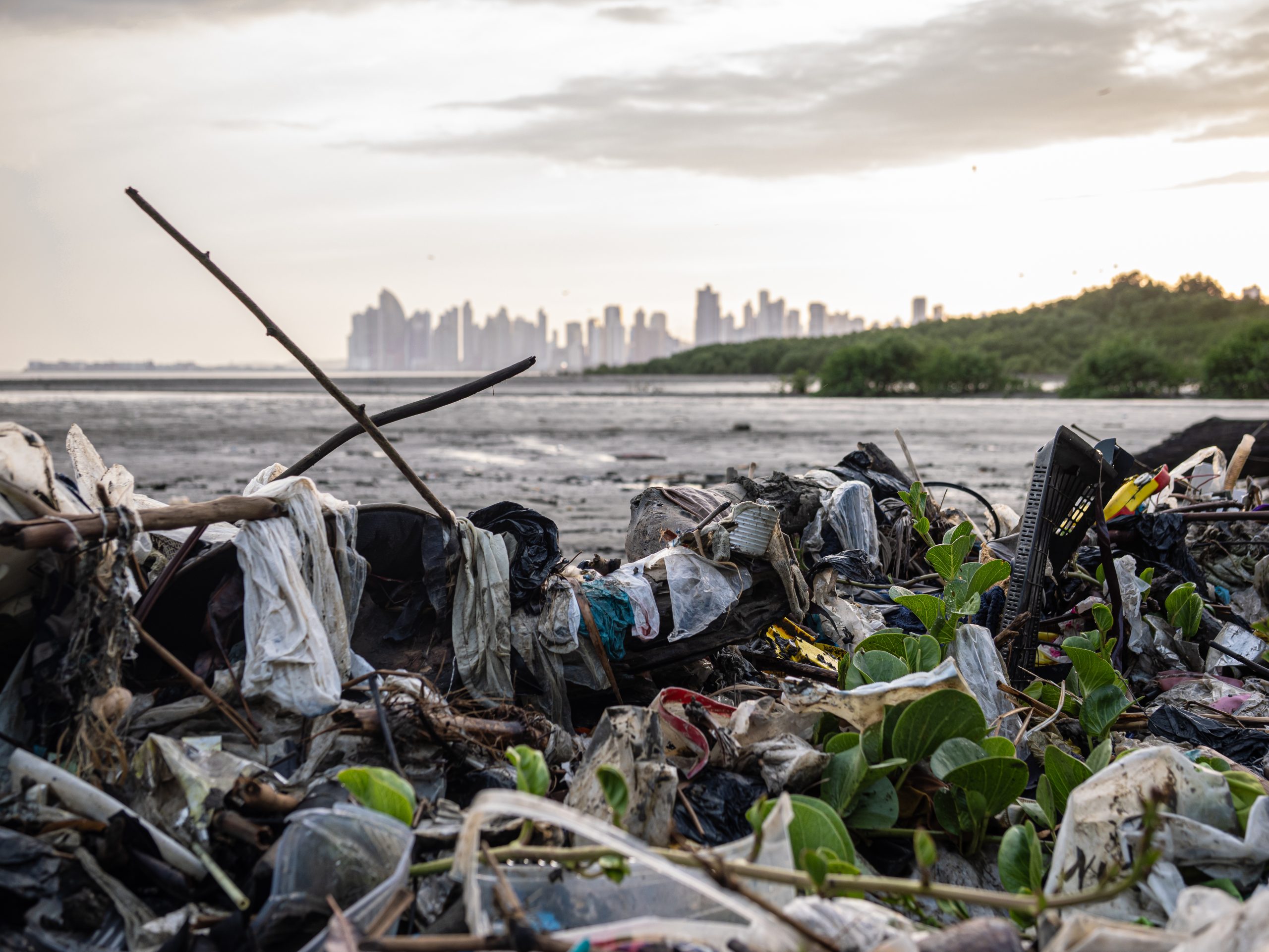 Media Gallery | The Ocean Cleanup