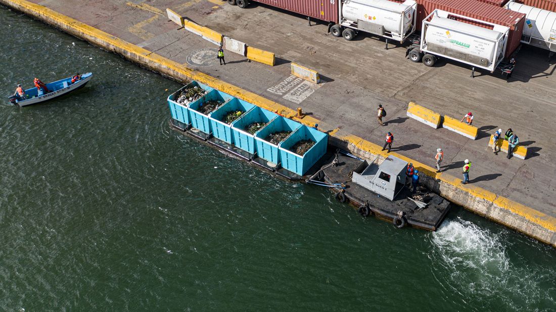 The Numbers Behind Our Catch | Updates | The Ocean Cleanup