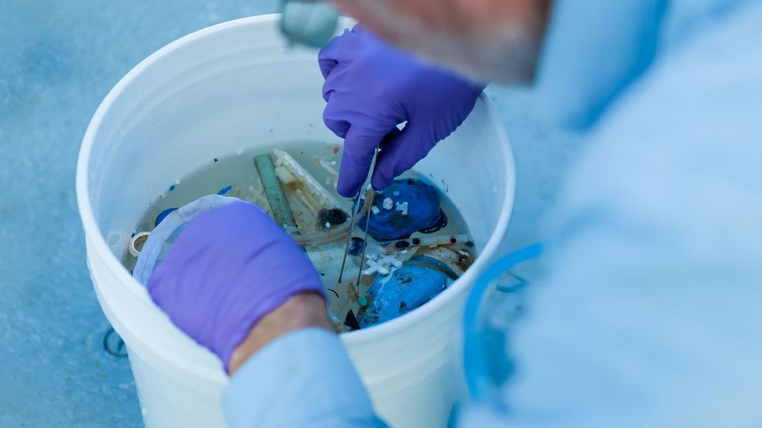 North Atlantic Microplastic Concentrations May Exceed Safe Levels for ...