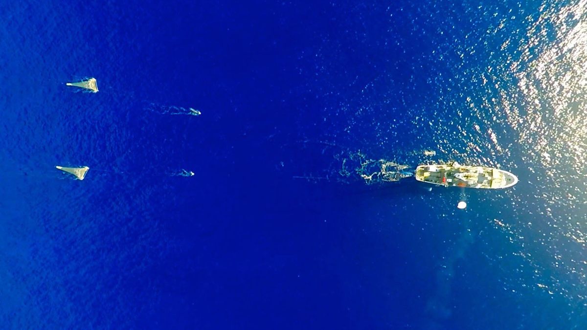 The Great Pacific Garbage Patch • The Ocean Cleanup