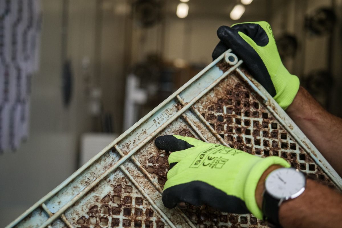 The Other Source: Where Does Plastic in the Great Pacific Garbage Patch ...