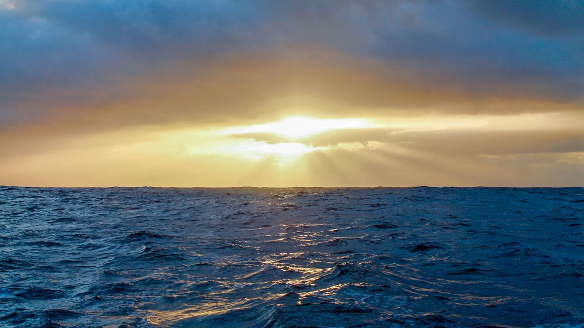 Environment • Updates • The Ocean Cleanup