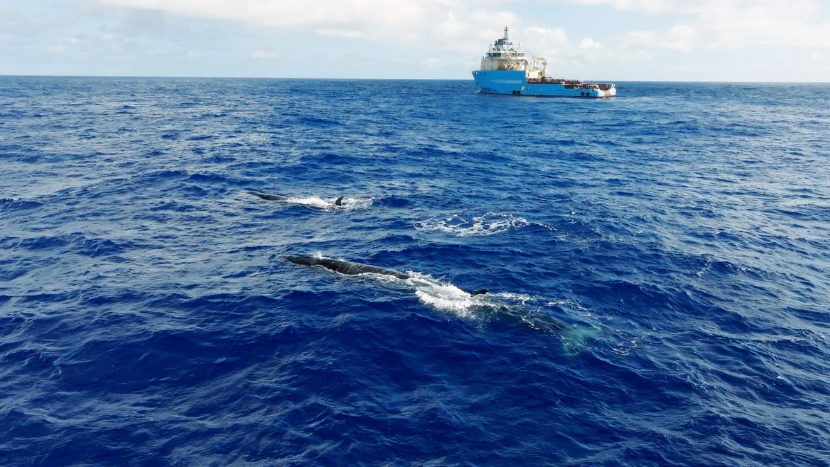 Updates | The Ocean Cleanup