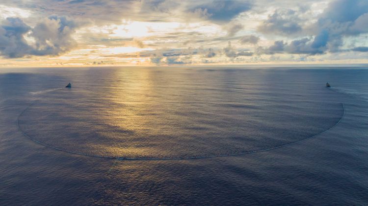 Updates • The Ocean Cleanup