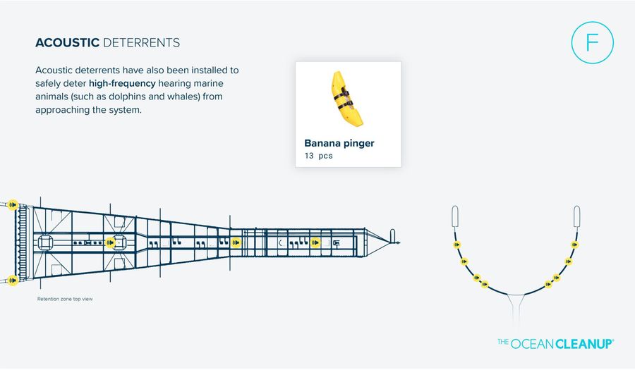 System 002 and Marine Life: Prevention and Mitigation