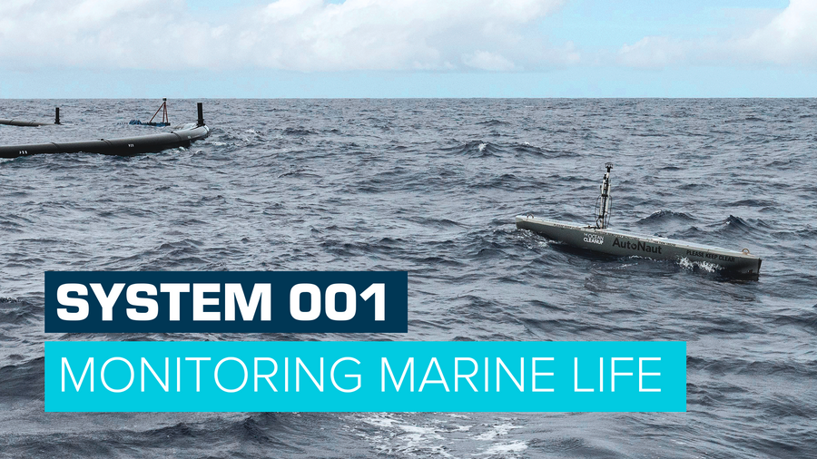 Mission One Environmental Monitoring Results Available • Updates • The ...