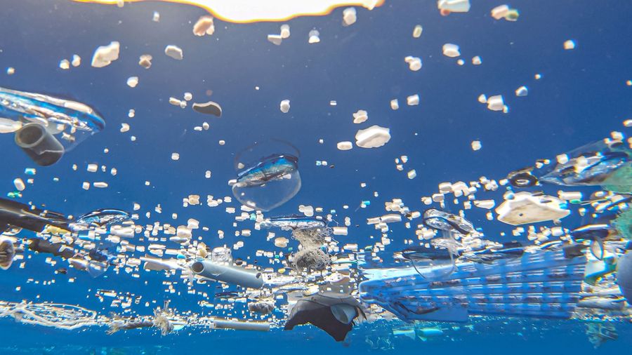 Neuston in the Great Pacific Garbage Patch and the Impact of Cleanup ...