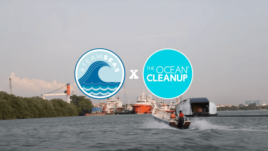 The #TeamSeas Campaign Has Successfully Concluded | Updates | The Ocean ...