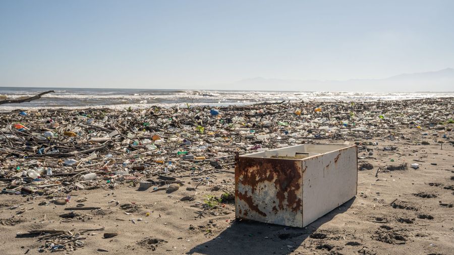 What is a coastal sweep? | Updates | The Ocean Cleanup