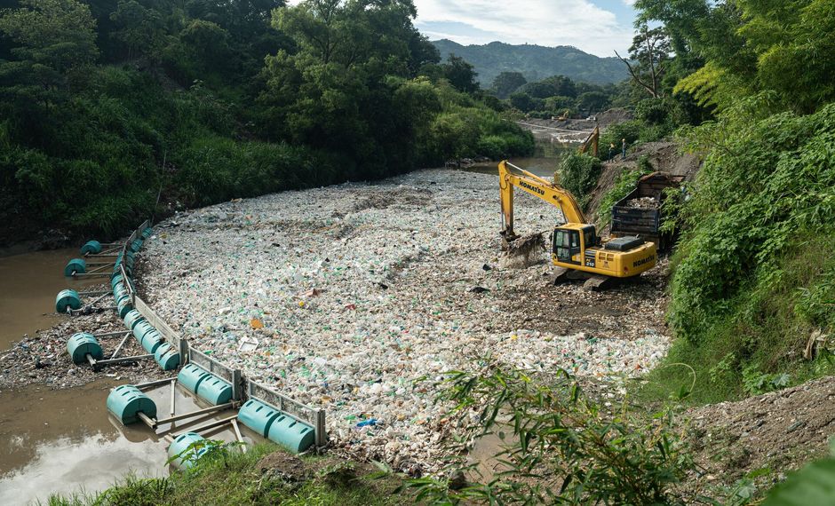 What makes mangroves ecologically important, and how do they help buffer the effects of climate ...