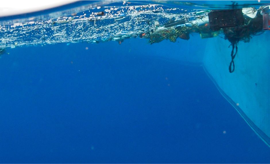 What makes mangroves ecologically important, and how do they help buffer the effects of climate ...